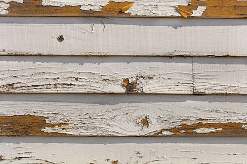 Environmental Remediation | Lynx Contractors Inc.